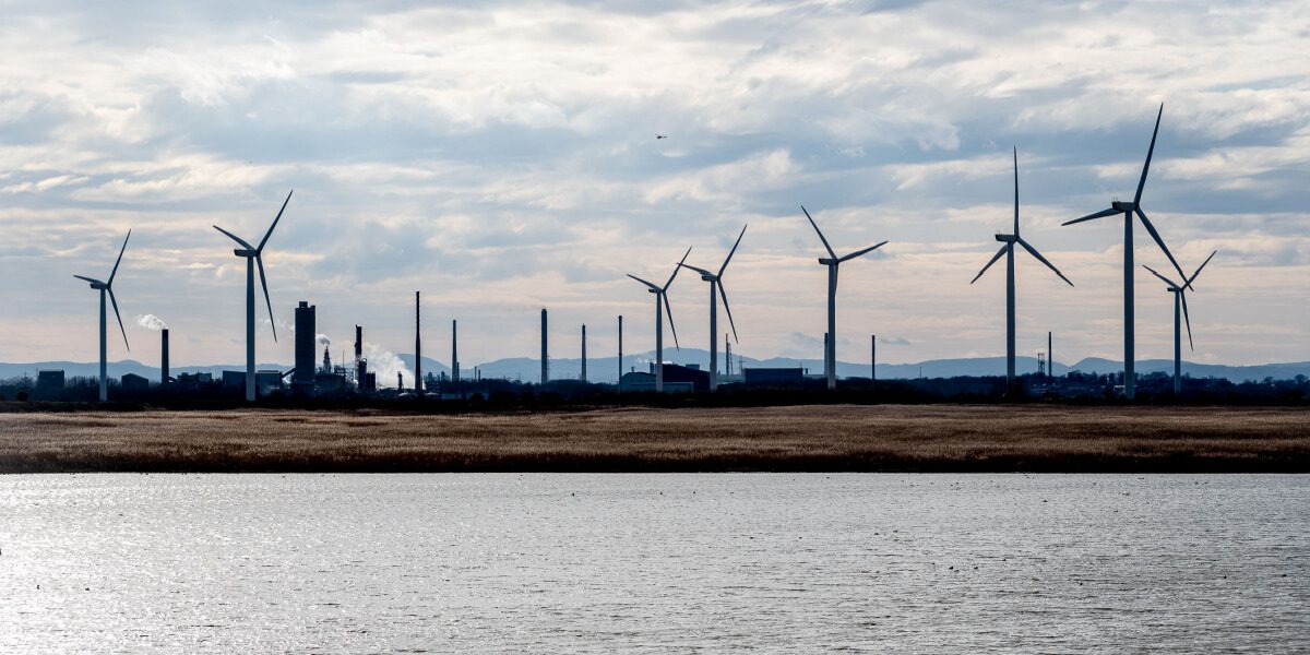 Tips for a Successful Wind Farm Construction Project – Constructable